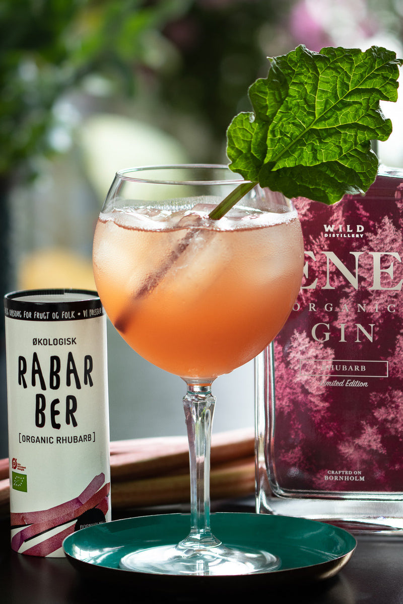 Rabarber Gin & Juice – Opskrift på frisk drink med rabarber og gin ...