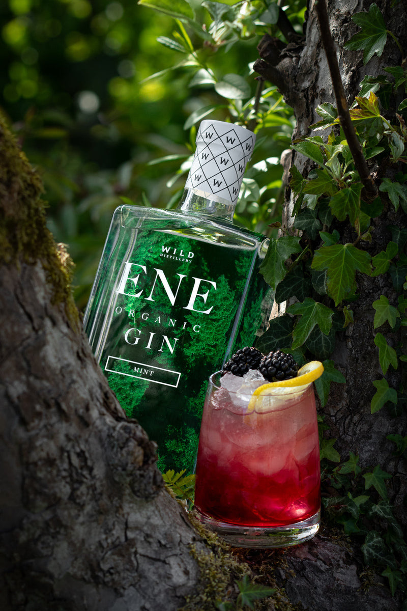 Bramble | Lækker opskrift på Bramble drink – Wild Distillery Bornholm ApS